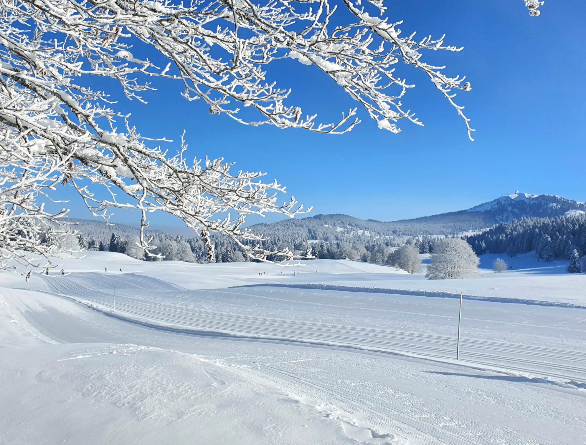 Saison 25-26, stage 3 jours de ski de fond dans le Jura avec Xavier Thévenard